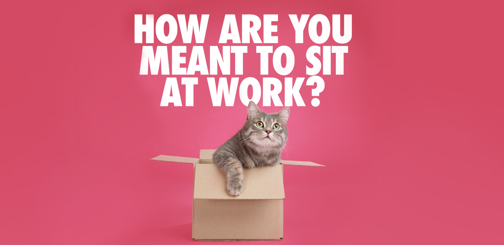 How are you meant to sit at work? – World Privilege Plus
